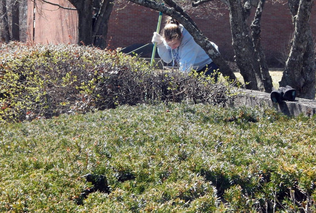 Tidying-Up : Volunteers help clean local parks | News, Sports, Jobs ...